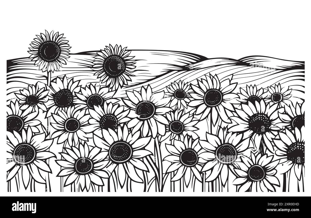Sunflower Black And White Clip Art