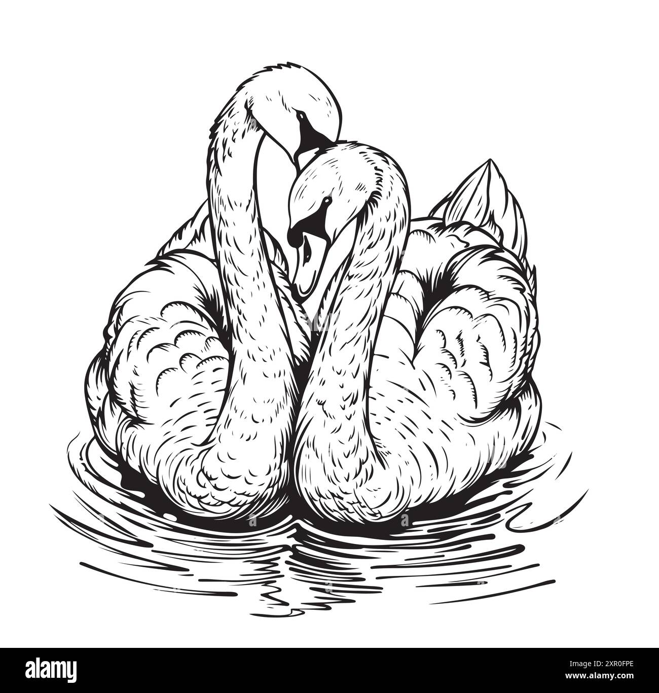 Pair of swans in the lake hand drawn sketch in doodle style ...