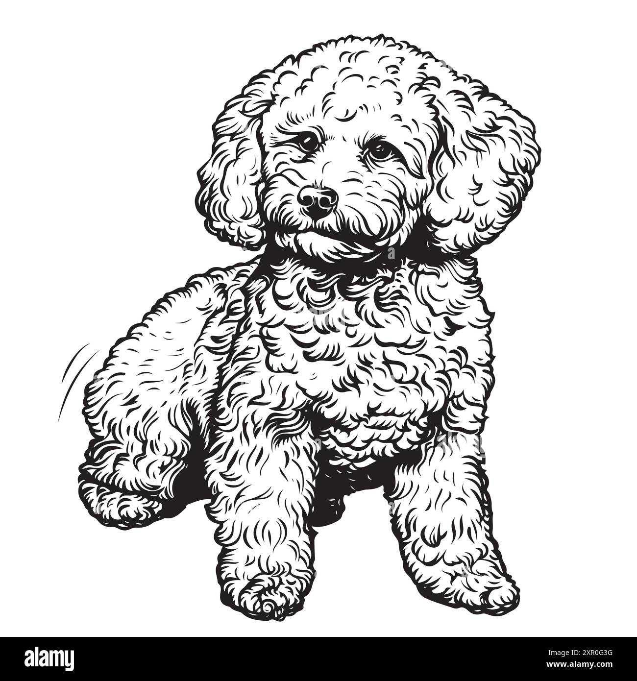 Poodle Sketch Art