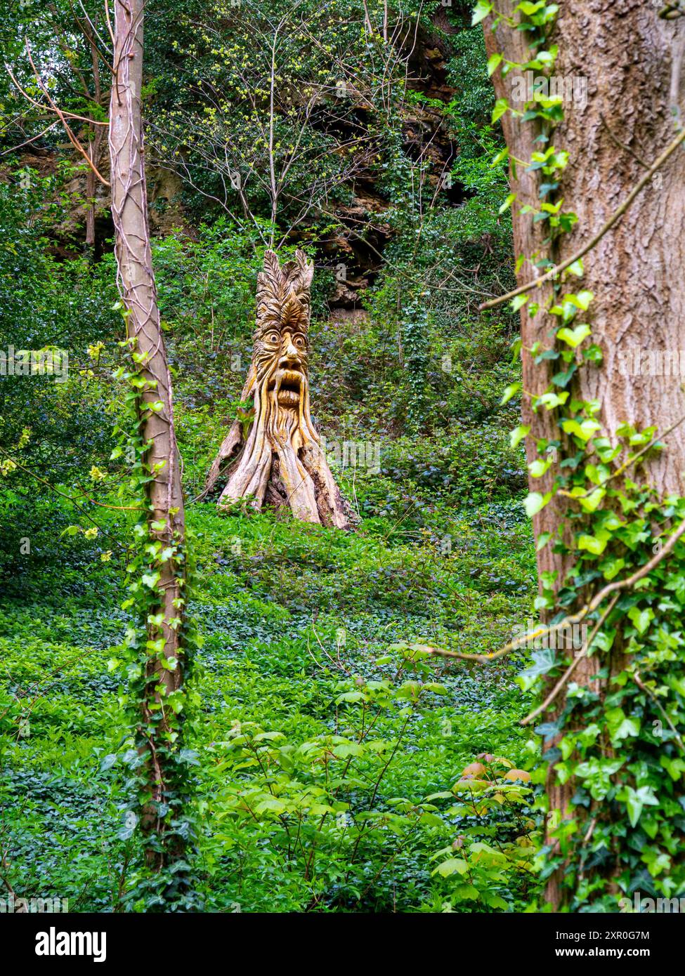 Wooden sculpture of a face by chainsaw artist Tommy Craggs in the ...