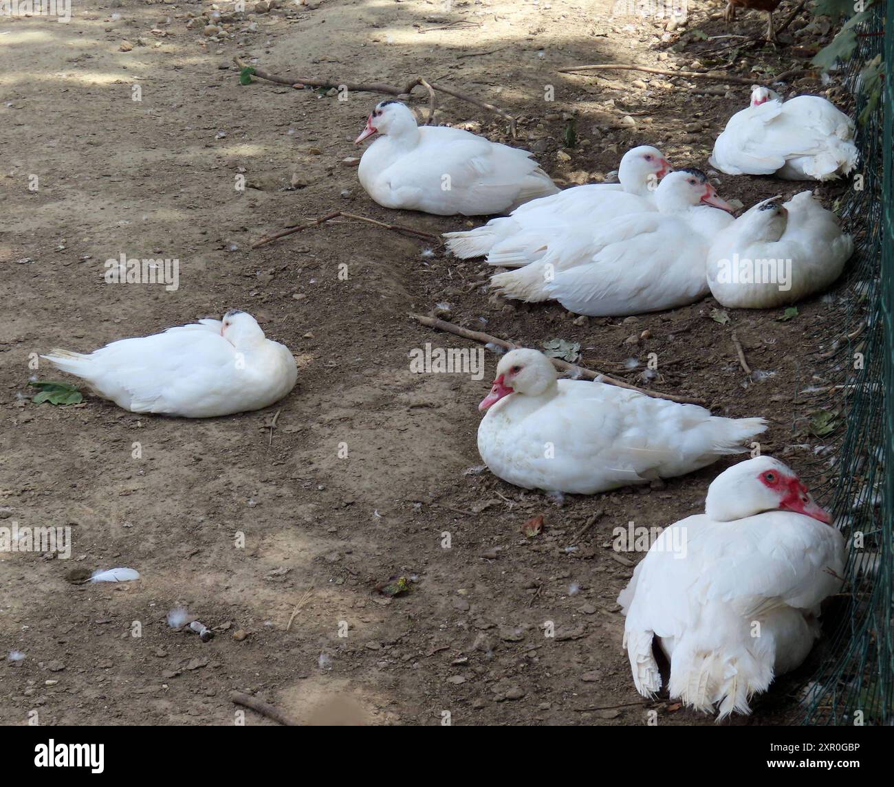 Wohfuehlen hi-res stock photography and images - Alamy