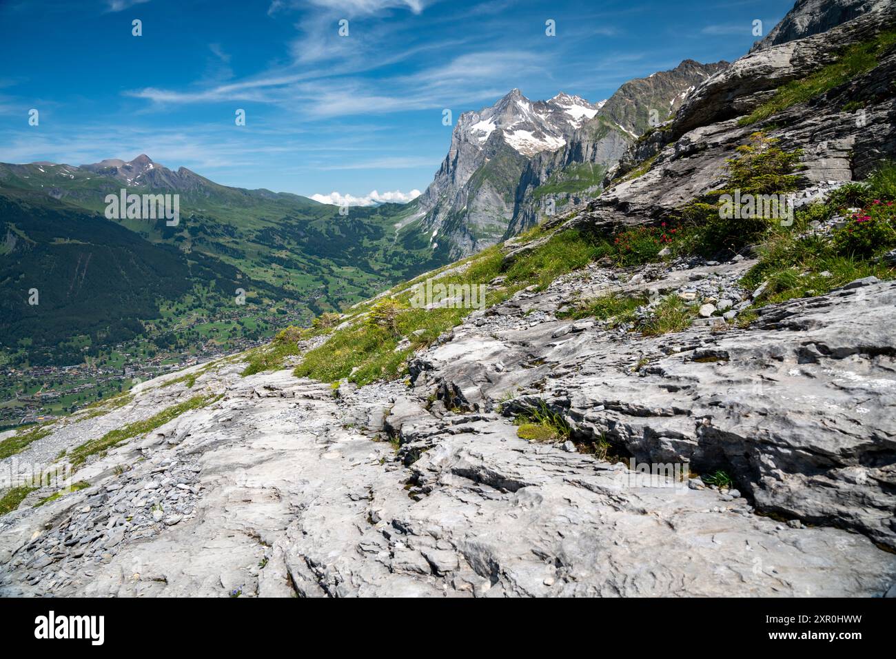 Scenery on the Eiger trail in Switzerland in the summer Stock Photo - Alamy