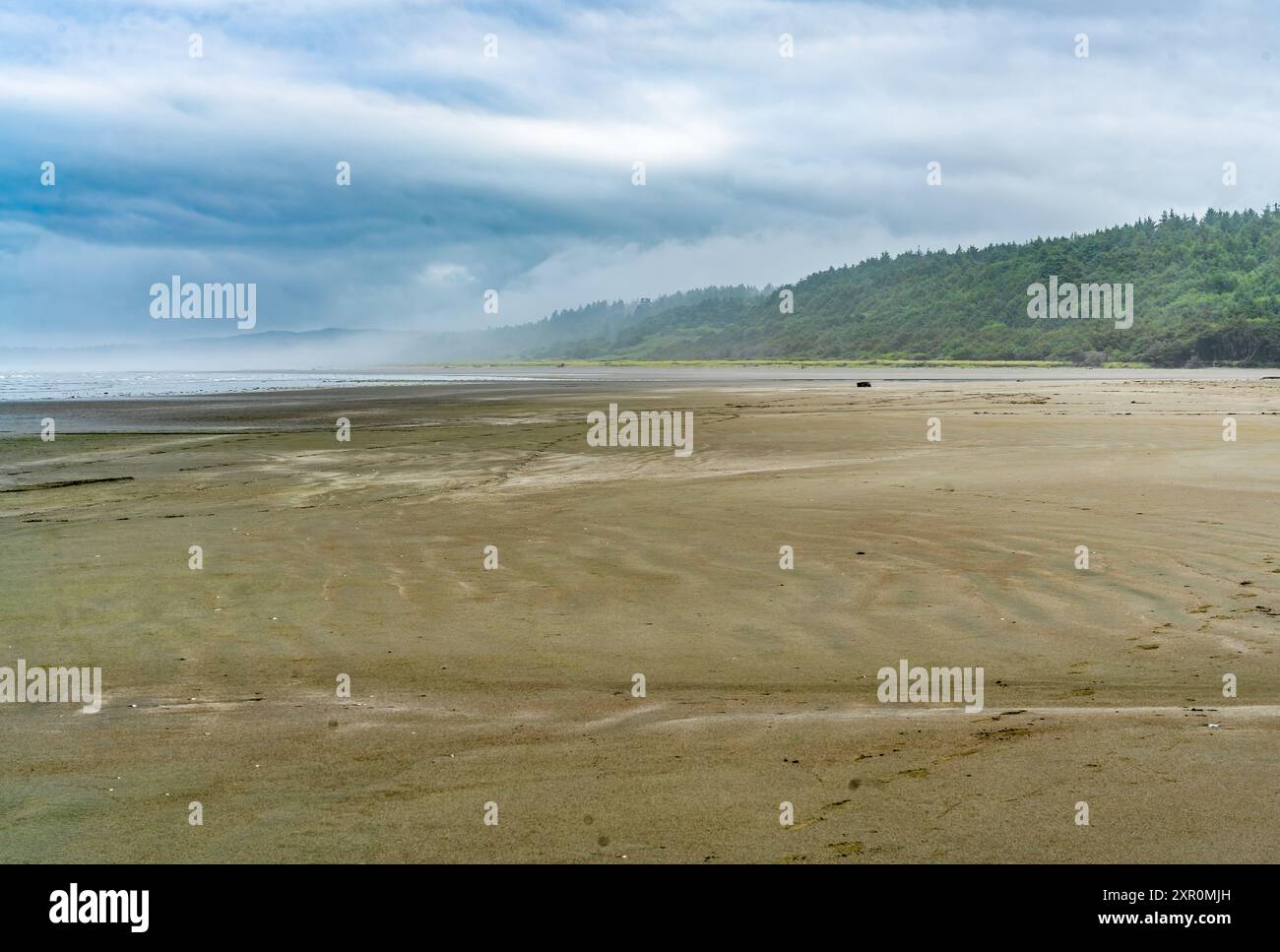 Moclips washington hi-res stock photography and images - Alamy