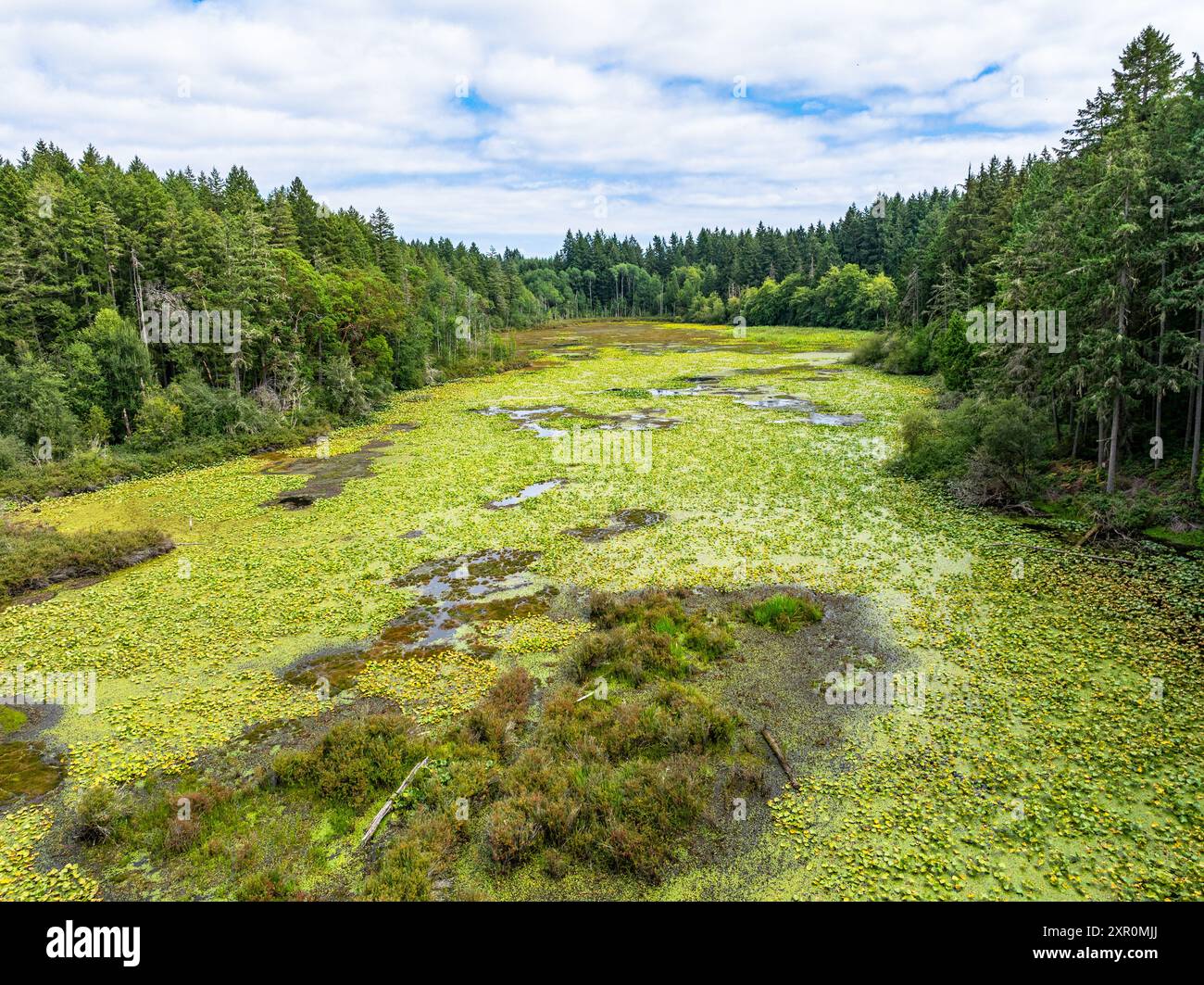 A drone landscape image of Fisher Pond on Vashon Island in Washington ...
