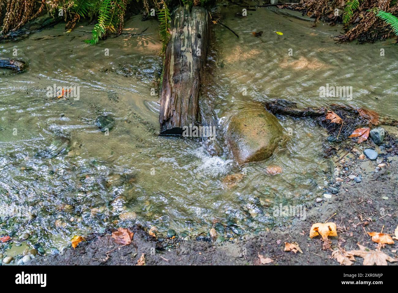Close up shot stream flowing hi-res stock photography and images - Alamy