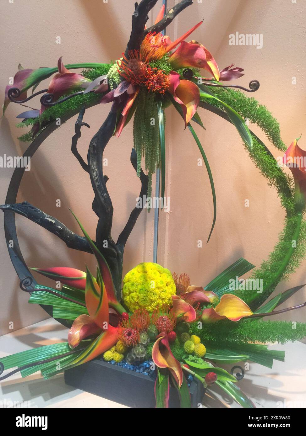 Shining bird of Paradise - Award-winning flower arrangements Stock ...