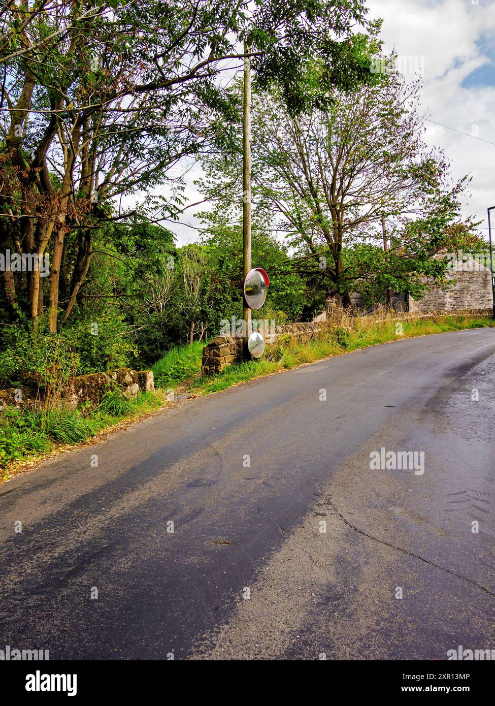 Curved rural road with lush green trees and traffic mirrors under a ...