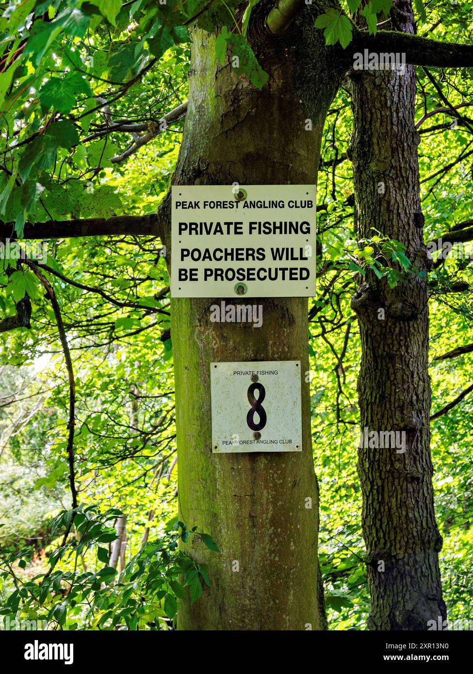 Signage on a tree indicating private fishing area and warning against ...