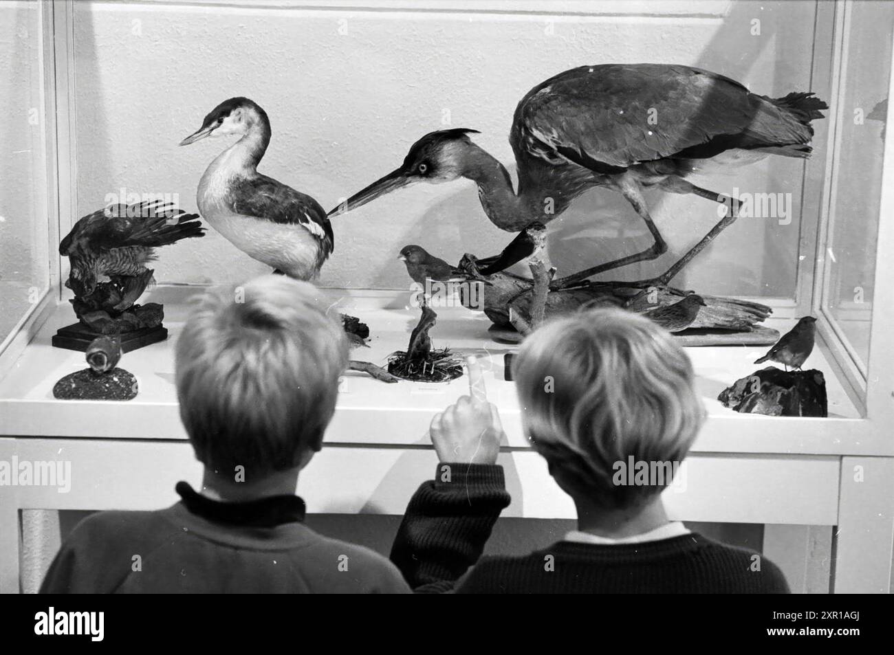 Exhibition pieter vermeulen museum hi-res stock photography and images ...