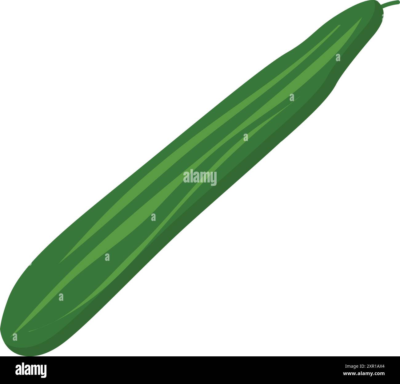 Colorful cucumber clipart cartoon. Cucumber vector illustration Stock ...