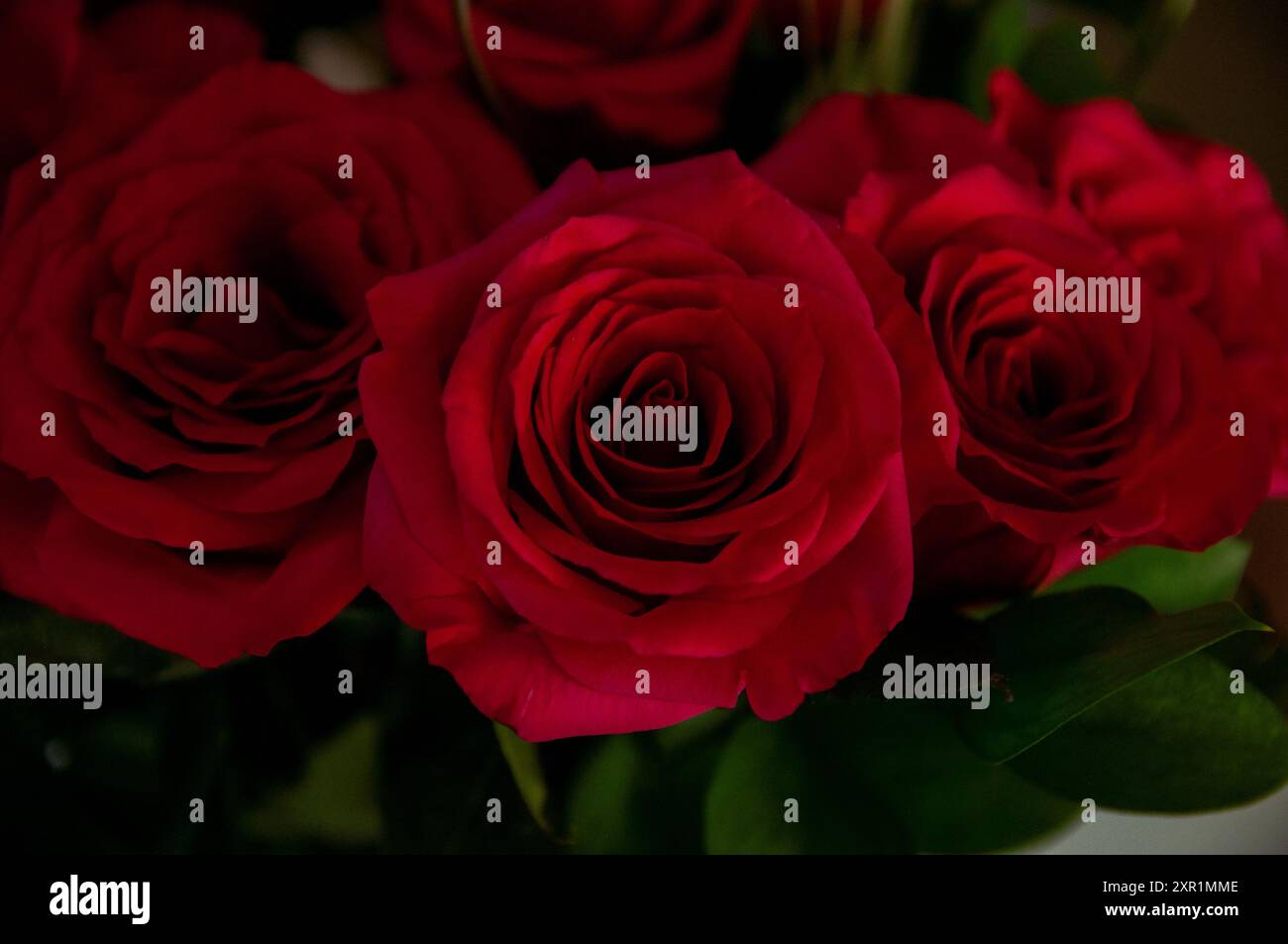 Red Rose Bouquet Stock Photo - Alamy