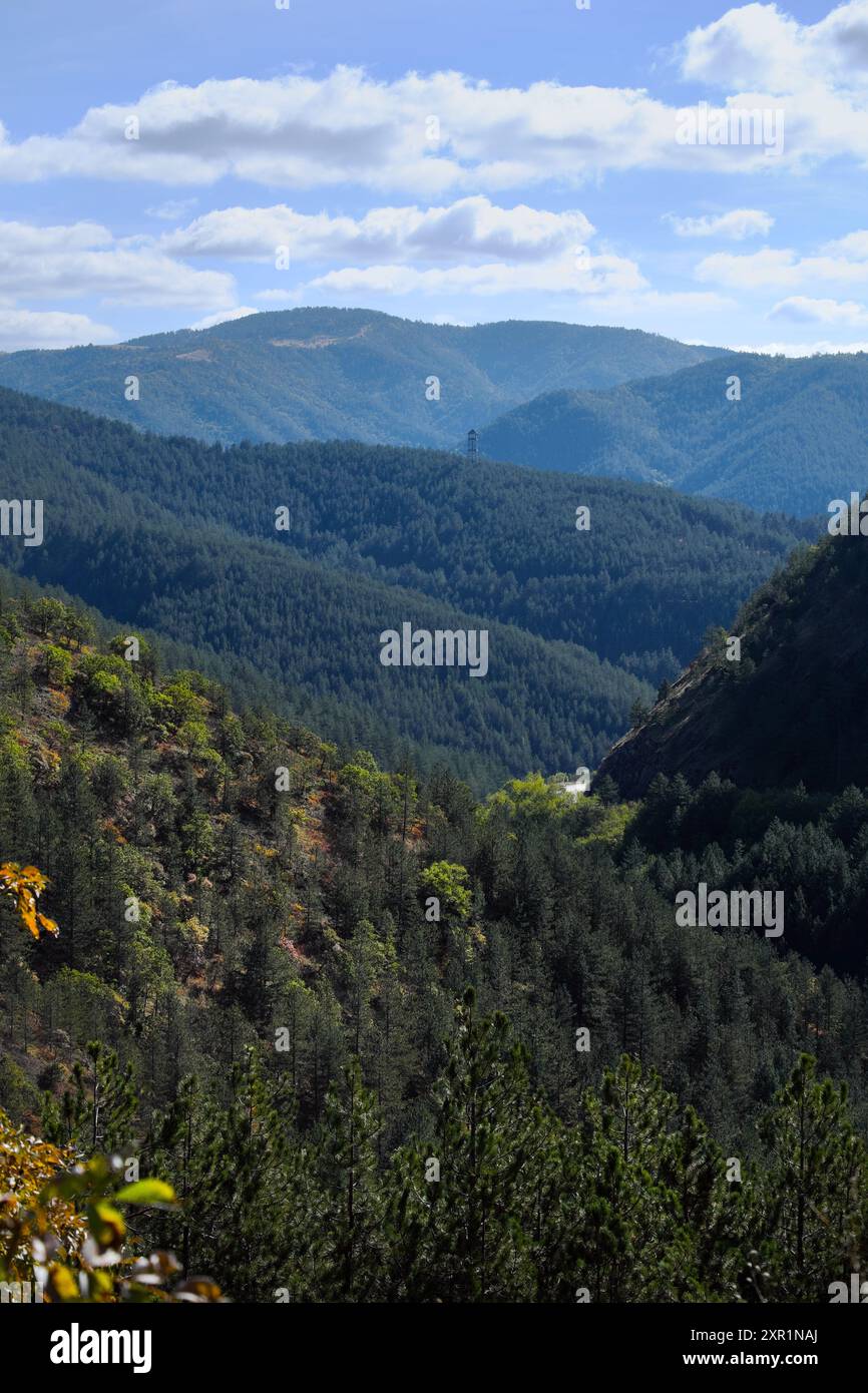 autumn forest of Mokra Gora Mountain in south-western Serbia Stock ...