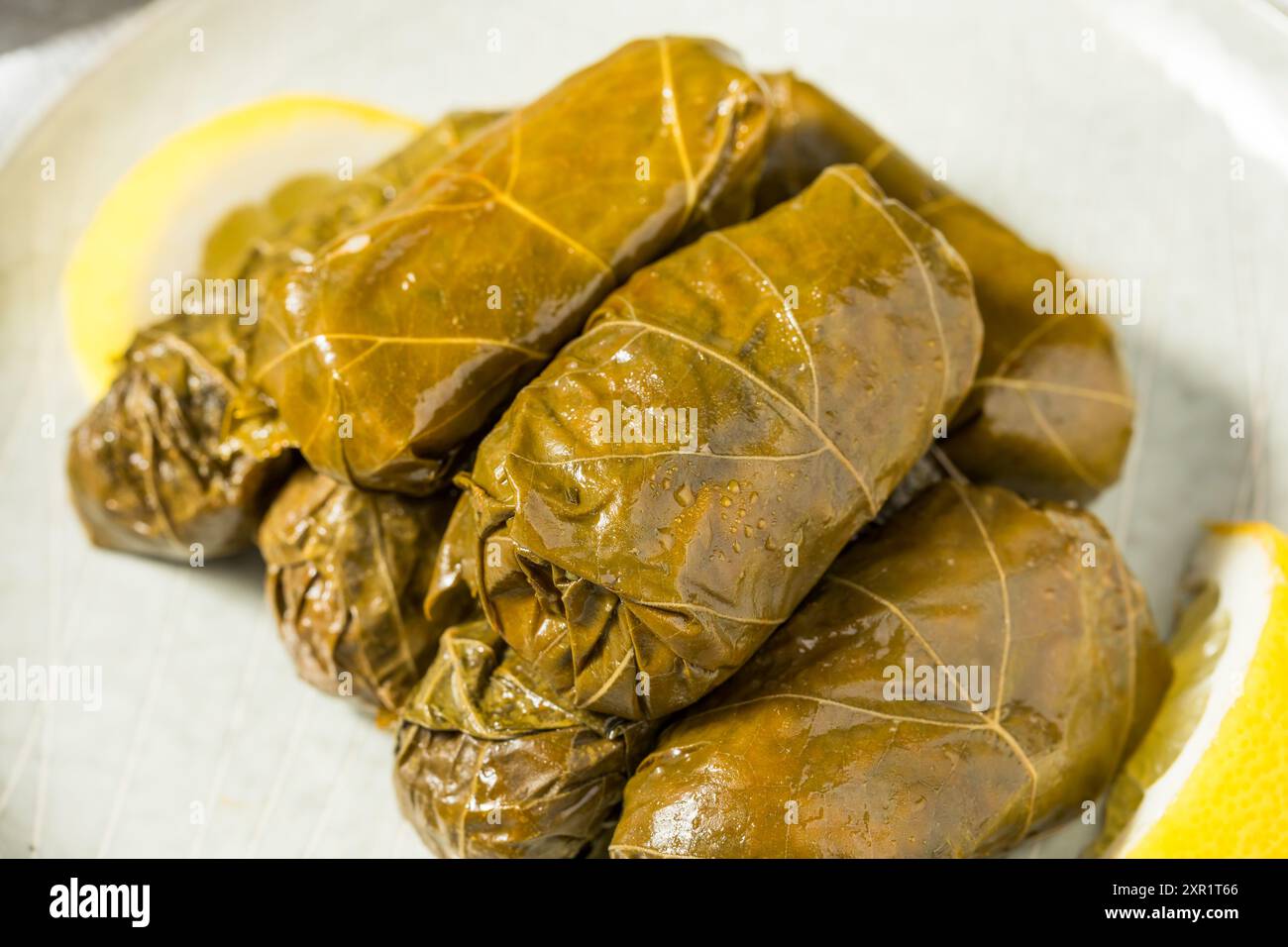 Healthy Greek Stuffed Grape Leaves with Lemon and Filling Stock Photo ...