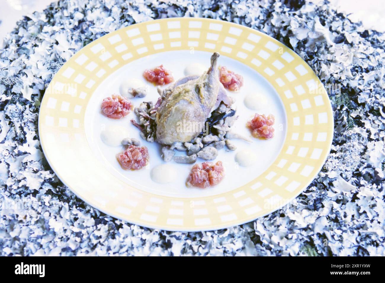 12 1 1999 hi-res stock photography and images - Alamy