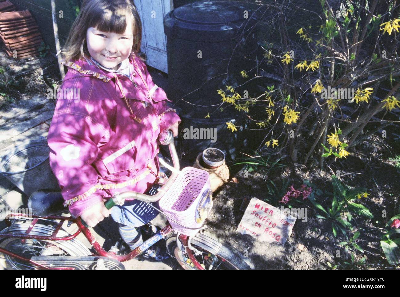 Dead rabbits hi-res stock photography and images - Alamy