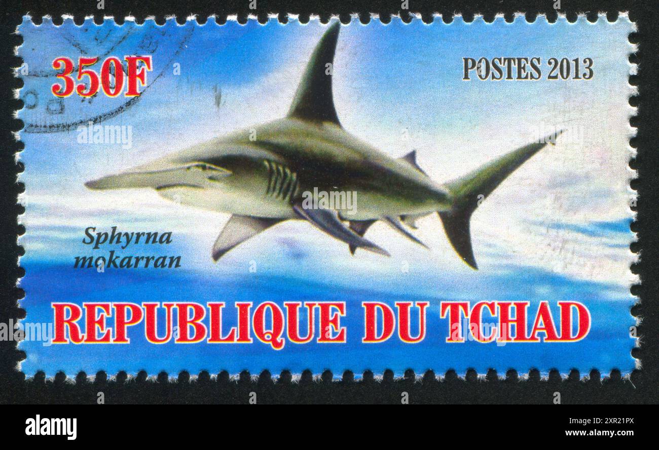 CHAD - CIRCA 2013: stamp printed by Chad, shows shark, circa 2013 Stock ...