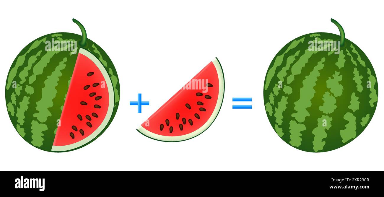 Action relationship of addition, examples with watermelon. Educational ...