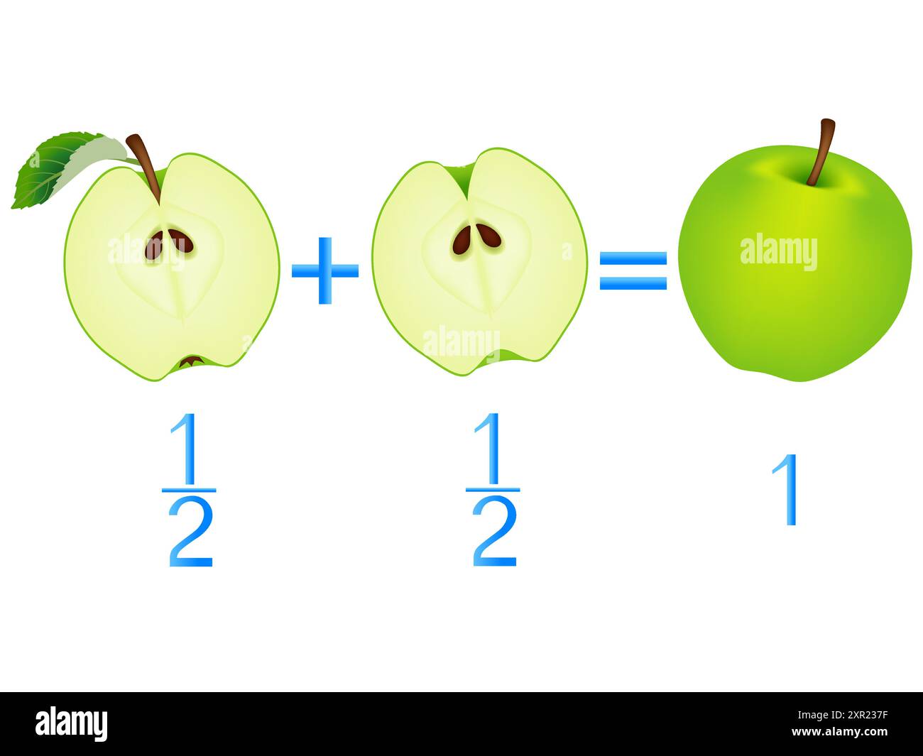 Action relationship of addition halves, examples with apples ...
