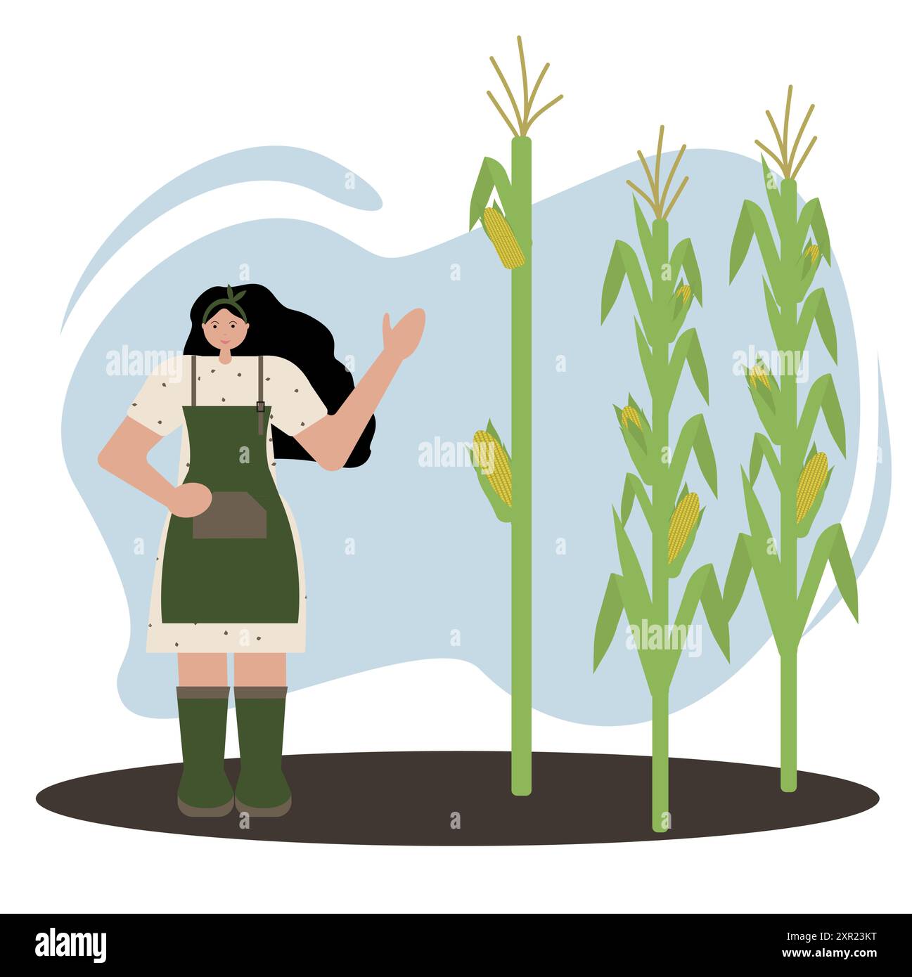 Young girl harvesting corn in the field, baskets of corn next to her ...