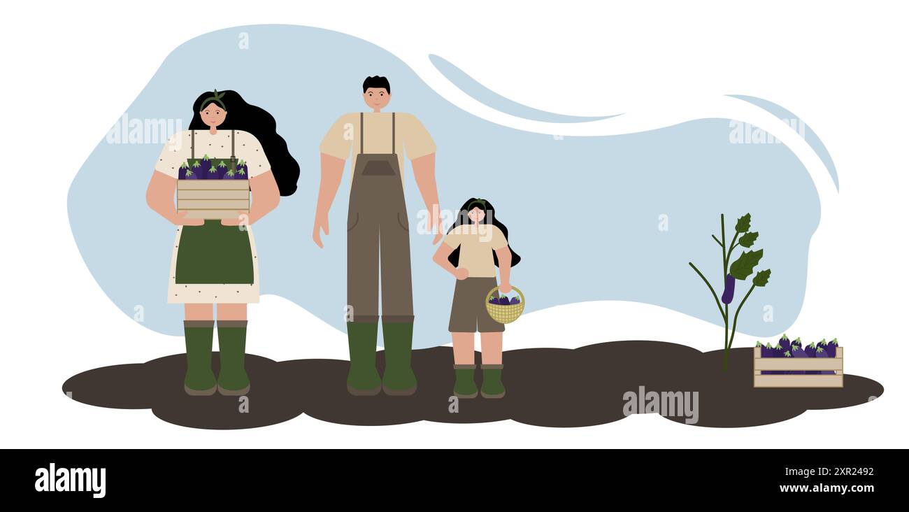 Illustration of family harvesting eggplants mother, father and daughter ...