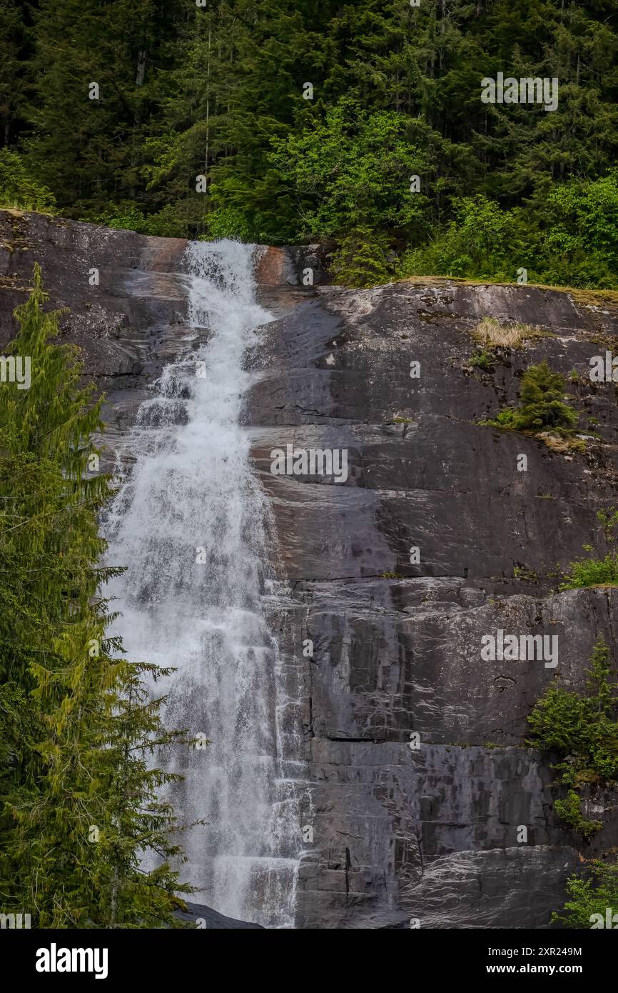 Cliff forest hi-res stock photography and images - Alamy