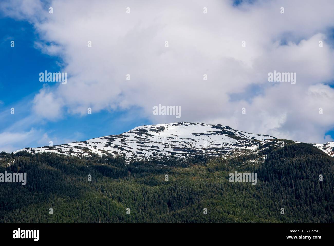 Snow topped mountain under a blue sky with white fluffy clouds, green ...