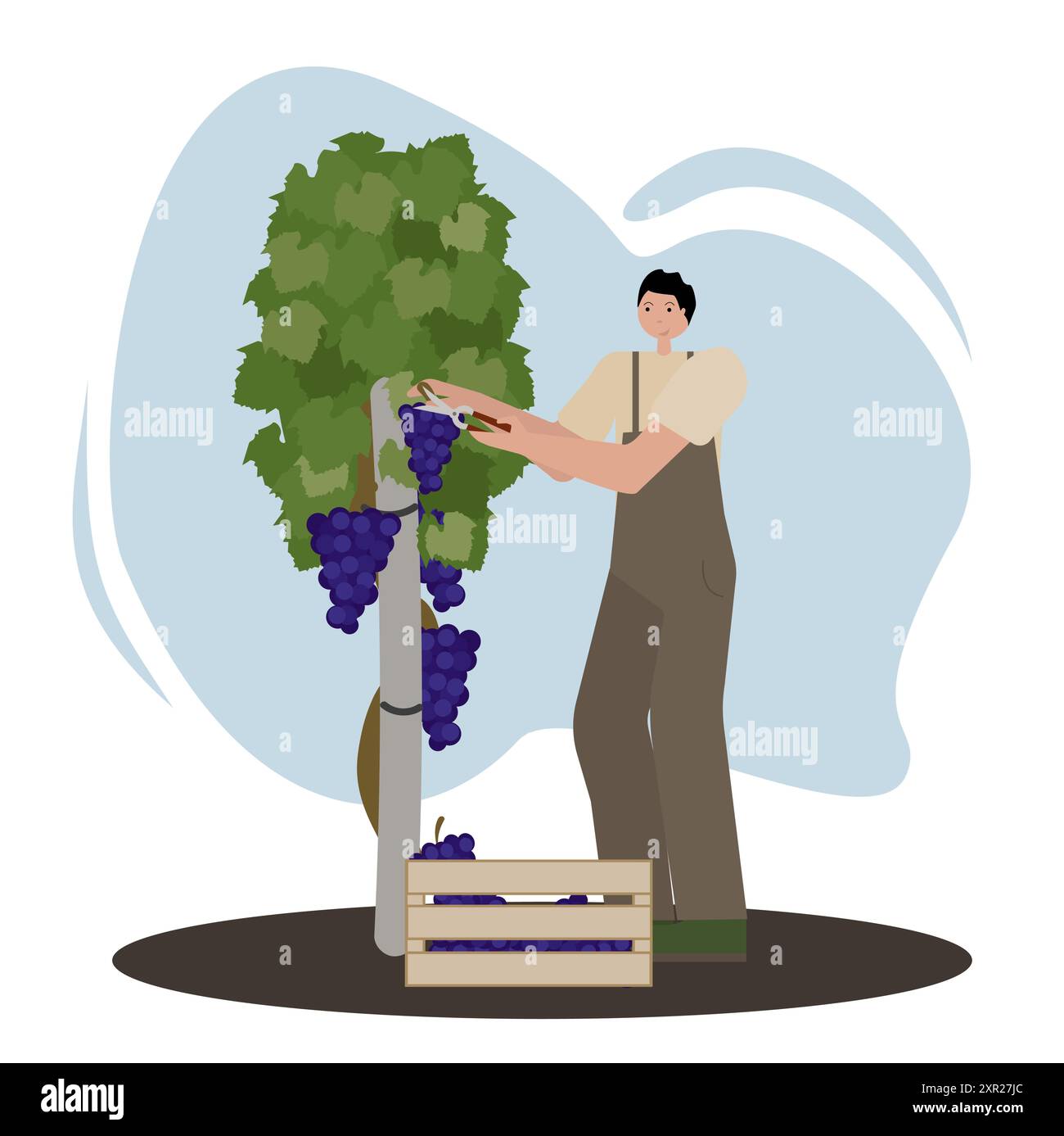 Vine pruning Stock Vector Images - Alamy