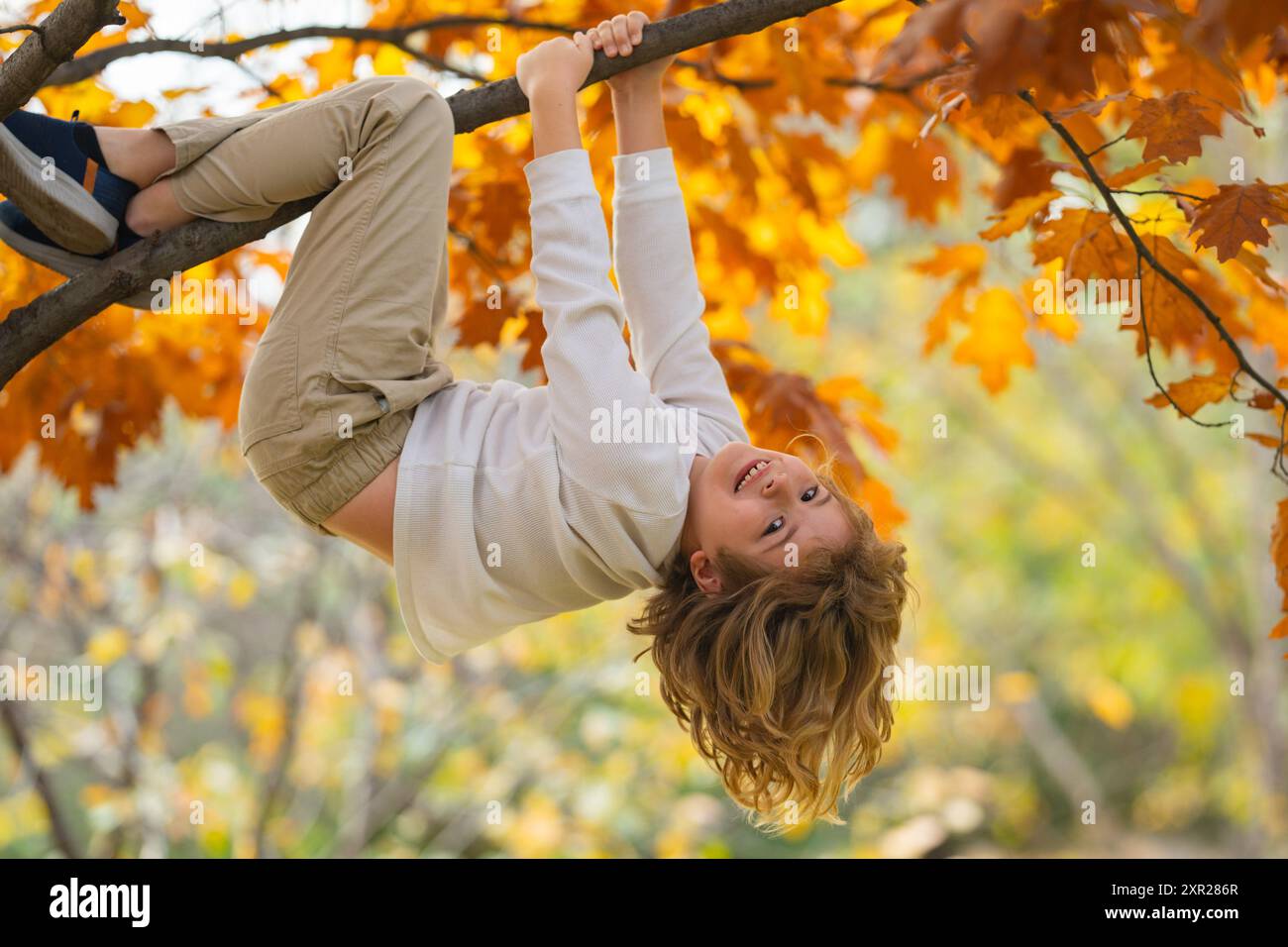 Cute child climbing a autumn tree in the garden. Active child climbing ...