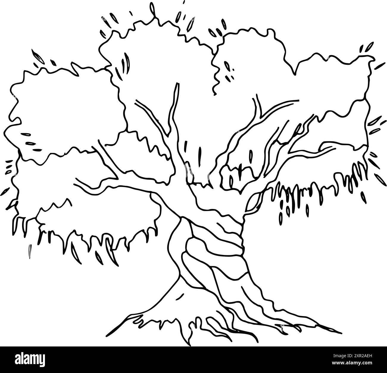 Olive tree Ink drawing. Hand drawn Vector illustration on a white ...