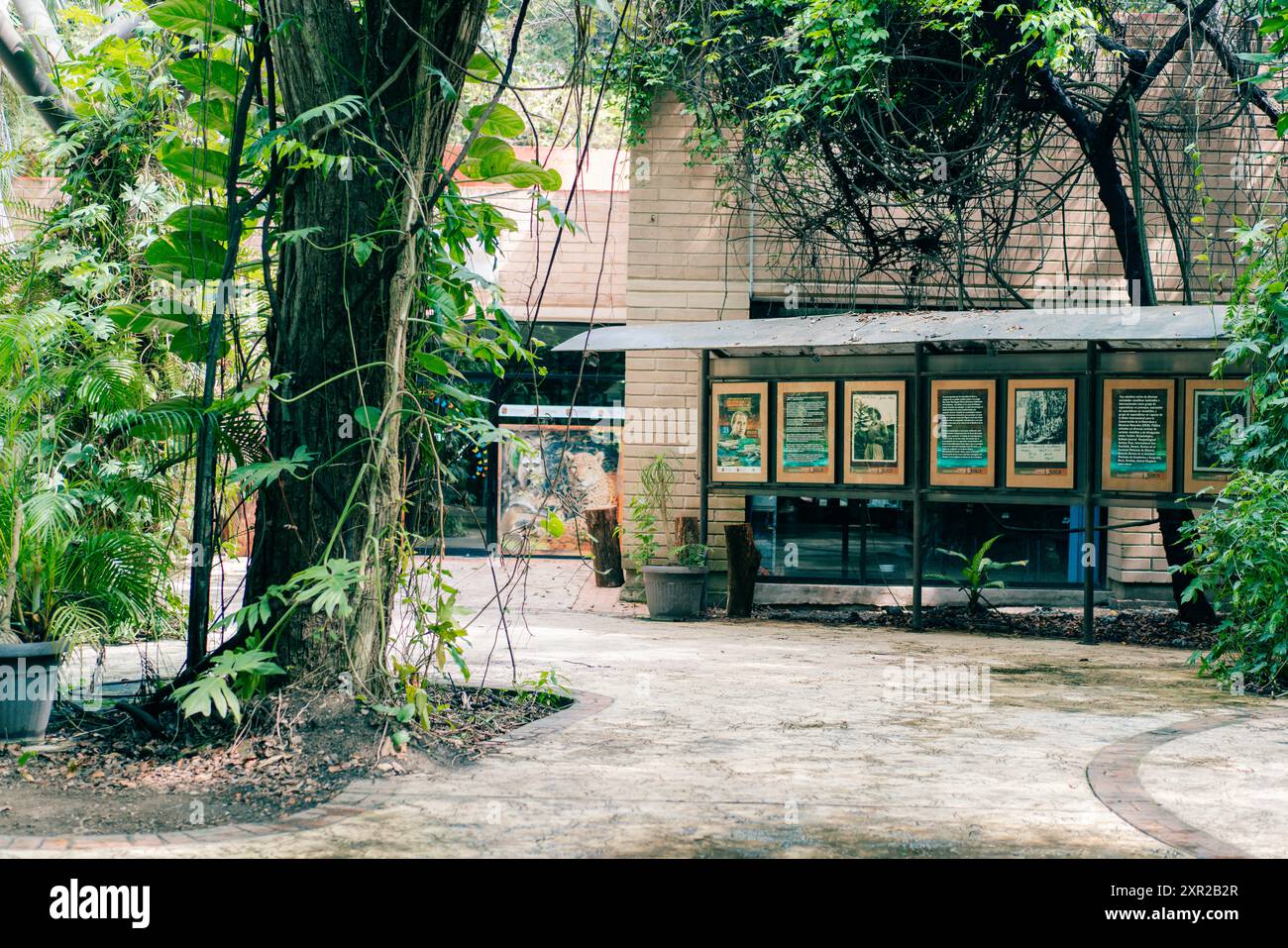 ZOOMAT Zoo in Tuxtla Gutierrez,Chiapas Mexico. High quality photo Stock ...