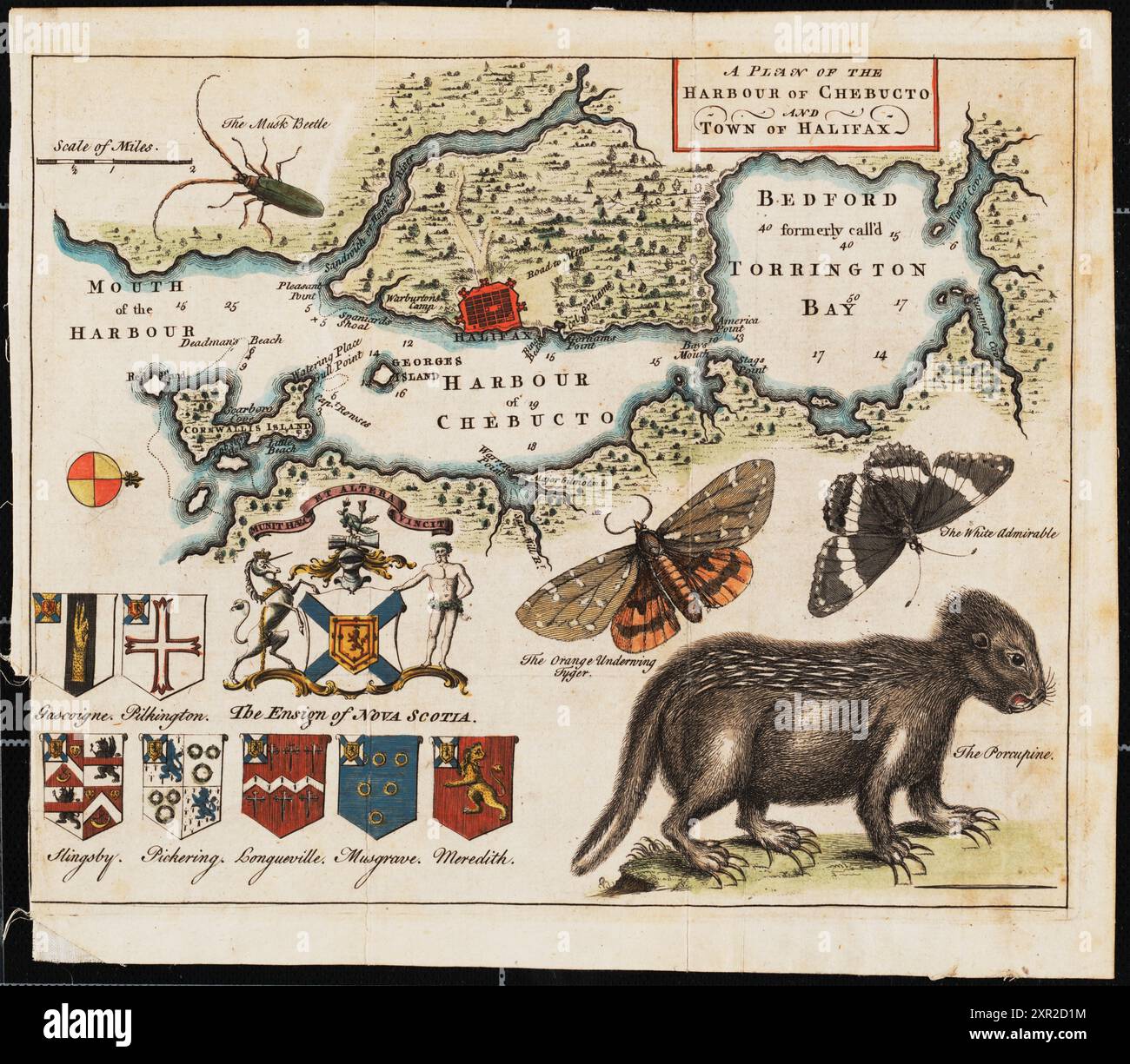 Vintage Pictorial Map: plan of the harbour of Chebucto and town of ...