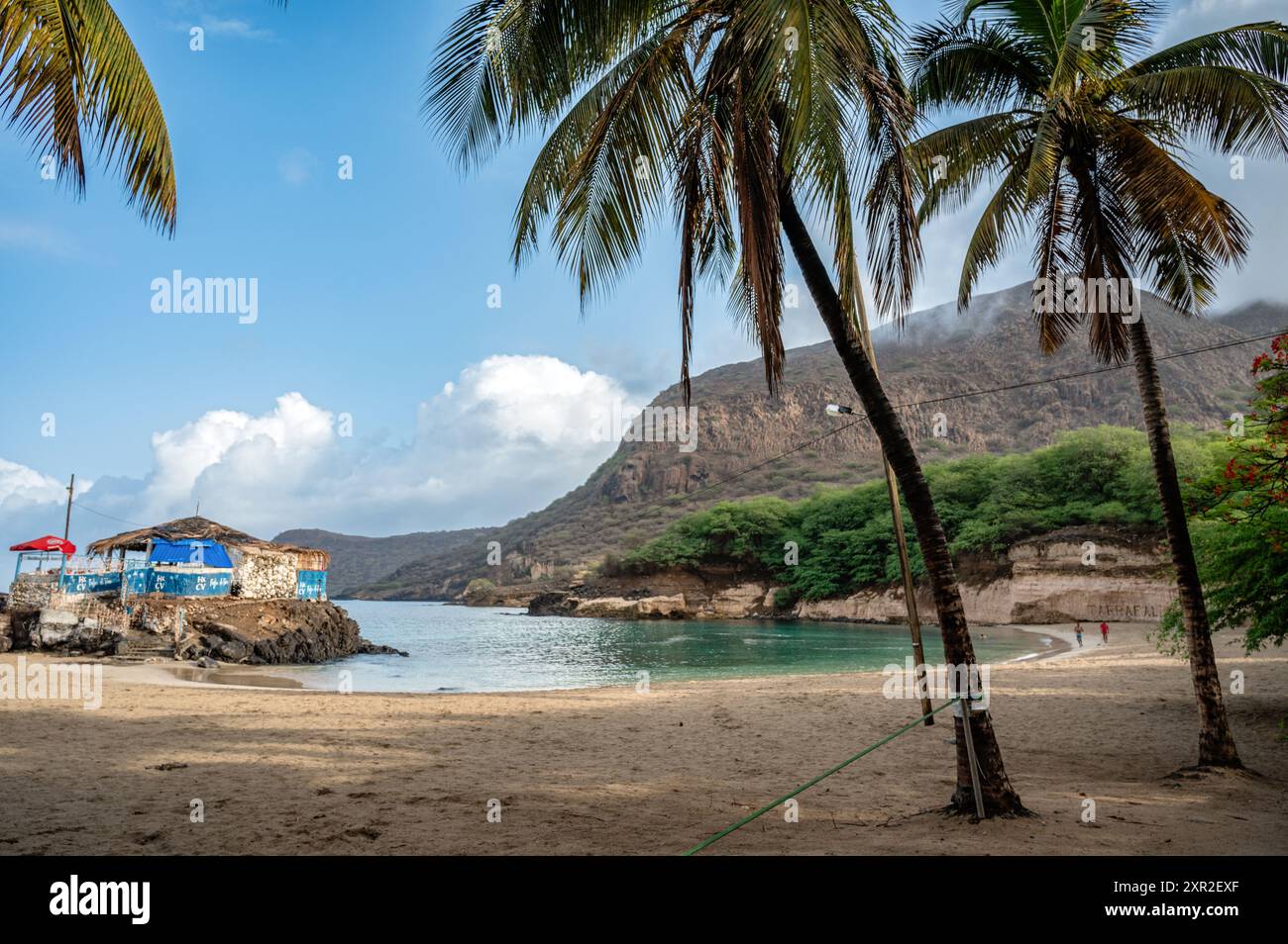 Sand and palm trees at Tarrafal beach, Santiago island, Cape Verde ...