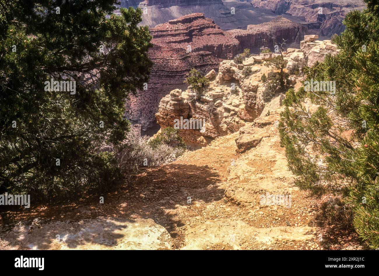 Moran point grand canyon overlook hi-res stock photography and images ...