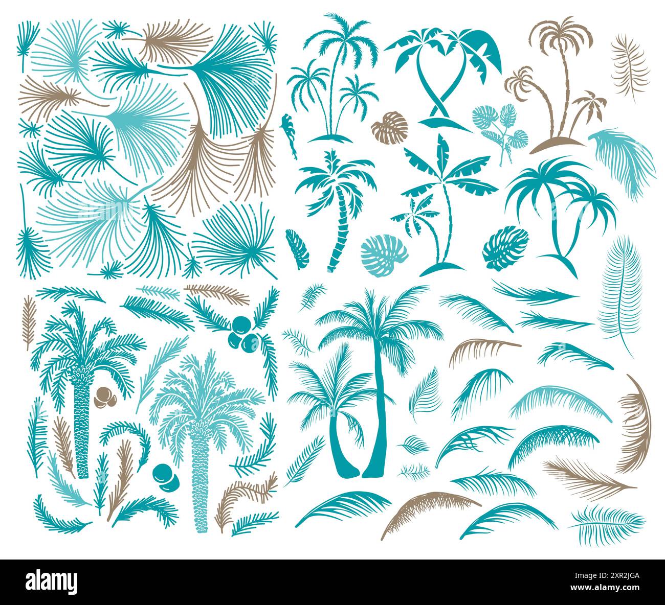 Sketch tropical palm trees. Hand drawn vintage Hawaii beach palms, Set ...
