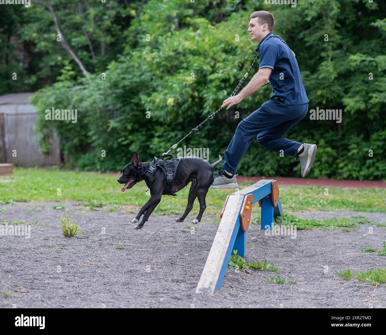 Man jumping over a barrier with a dog with a pit bull terrier outdoors ...