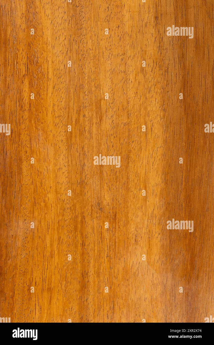 Wooden timber plank background macro close up view Stock Photo - Alamy