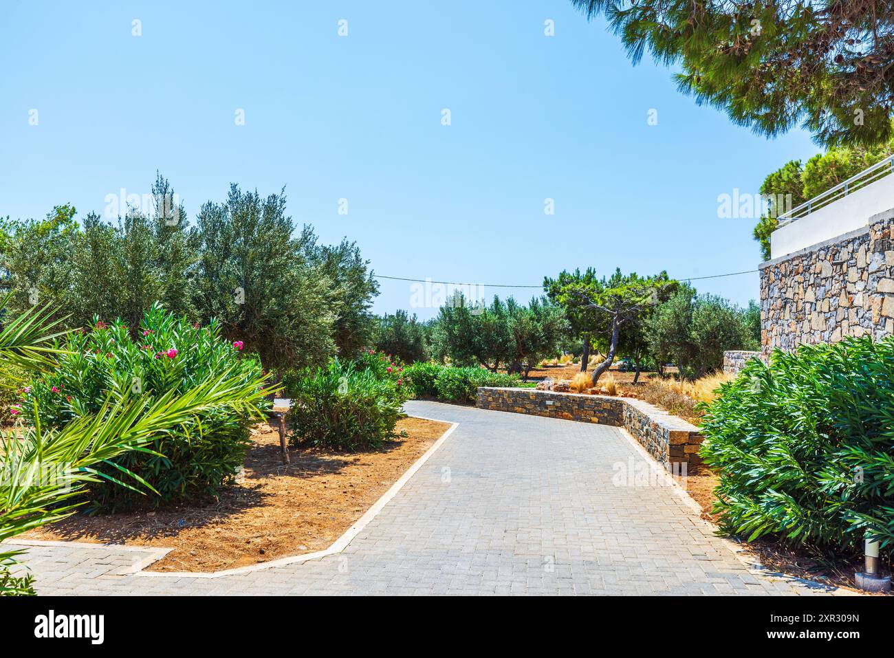 Paved pathway surrounded by lush greenery and stone walls, leading ...