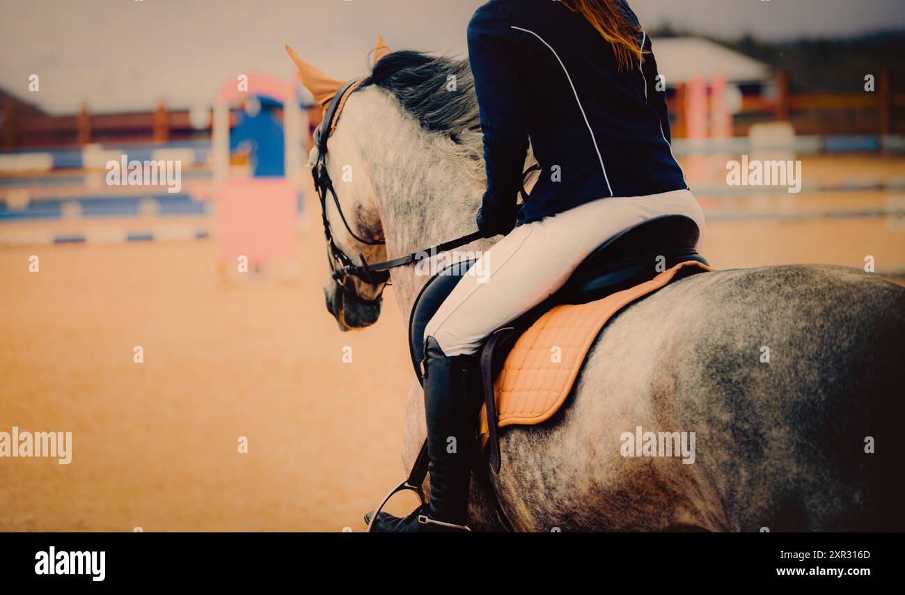 A horsewoman is galloping on a dappled gray horse in a show jumping ...