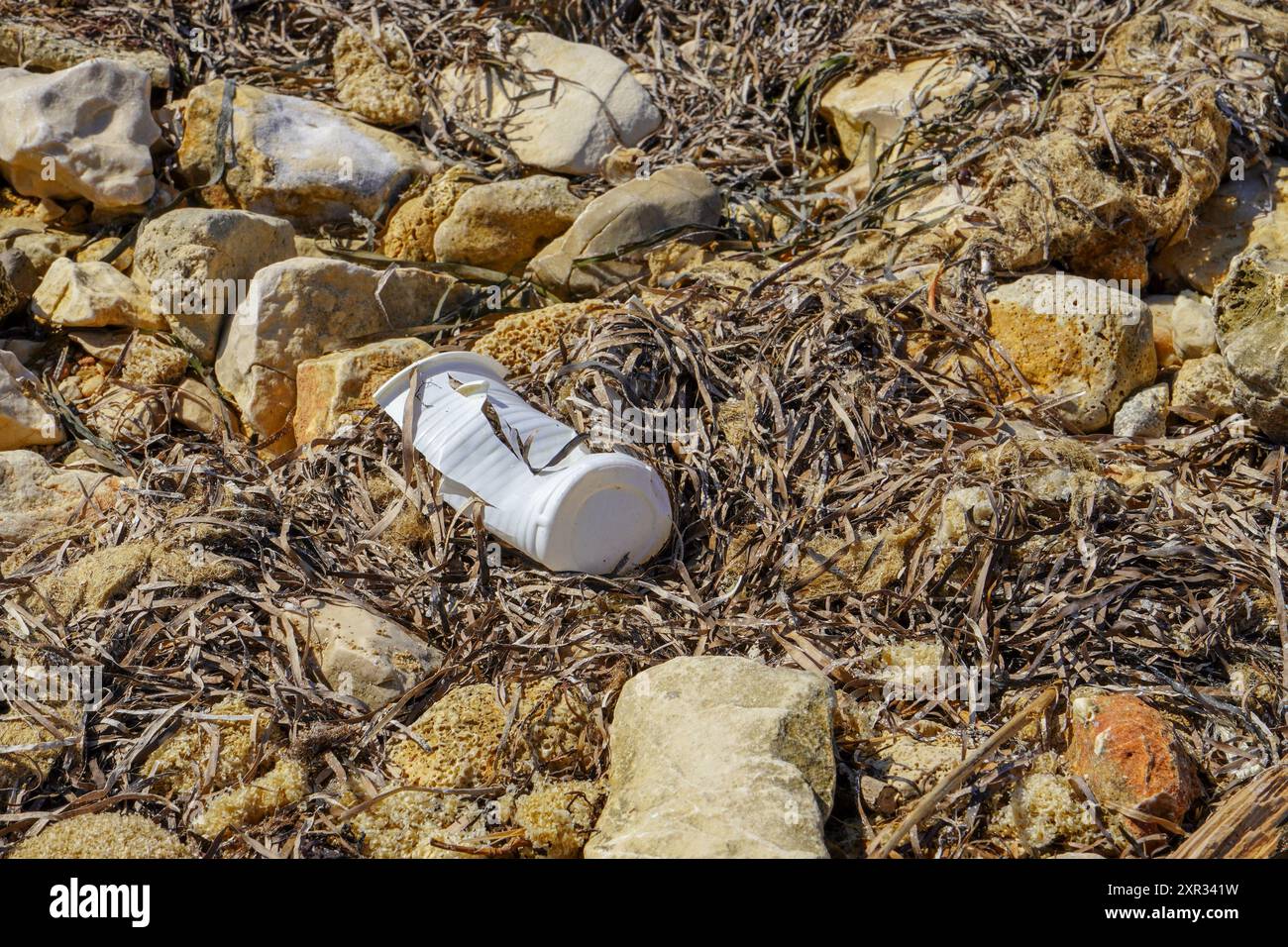 Plastic disposable cup left on sandy beach show environment pollution ...