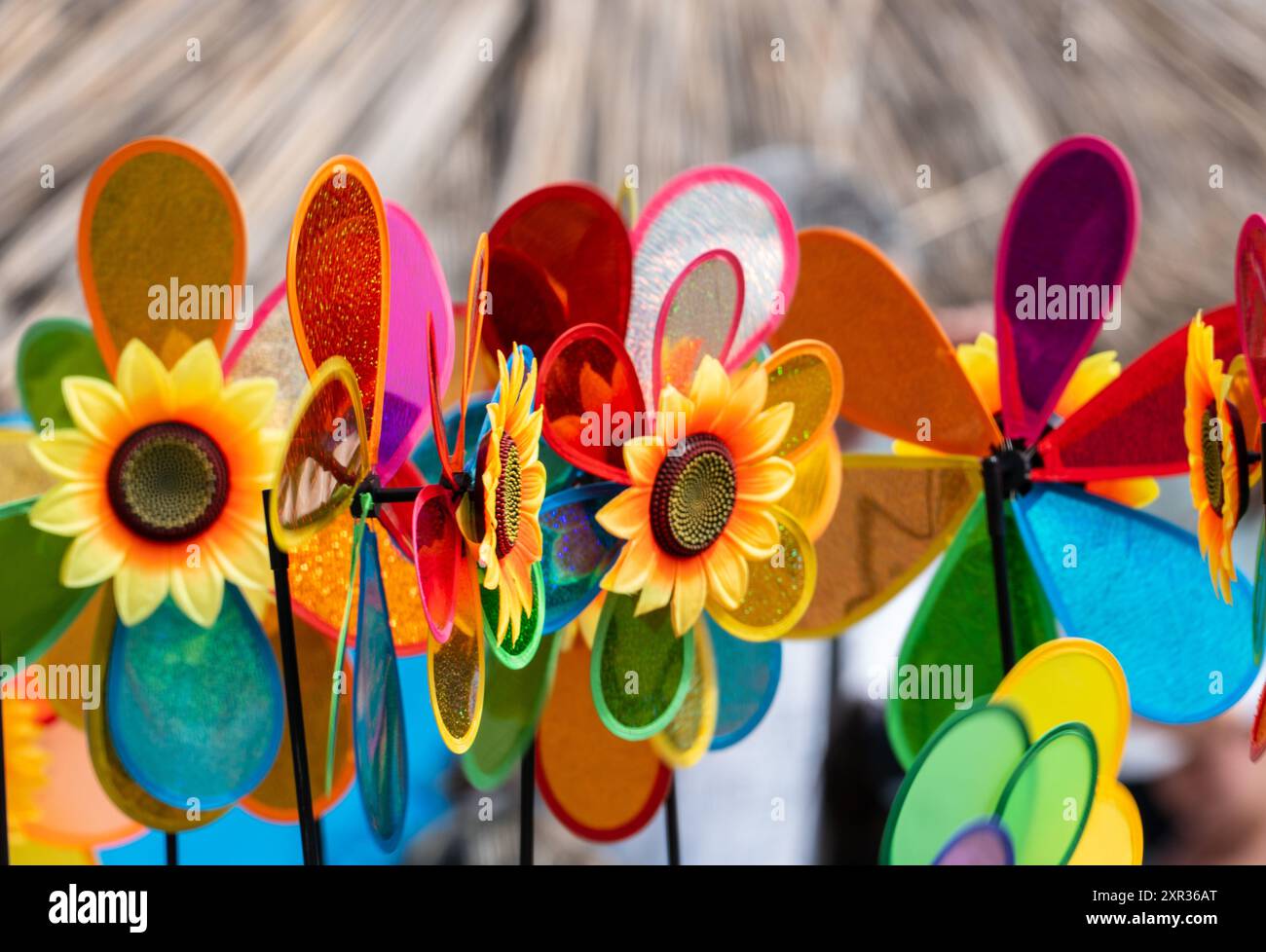 Pinwheel Plastic Toys in Flower Shapes and Colors: Blown by the Wind ...