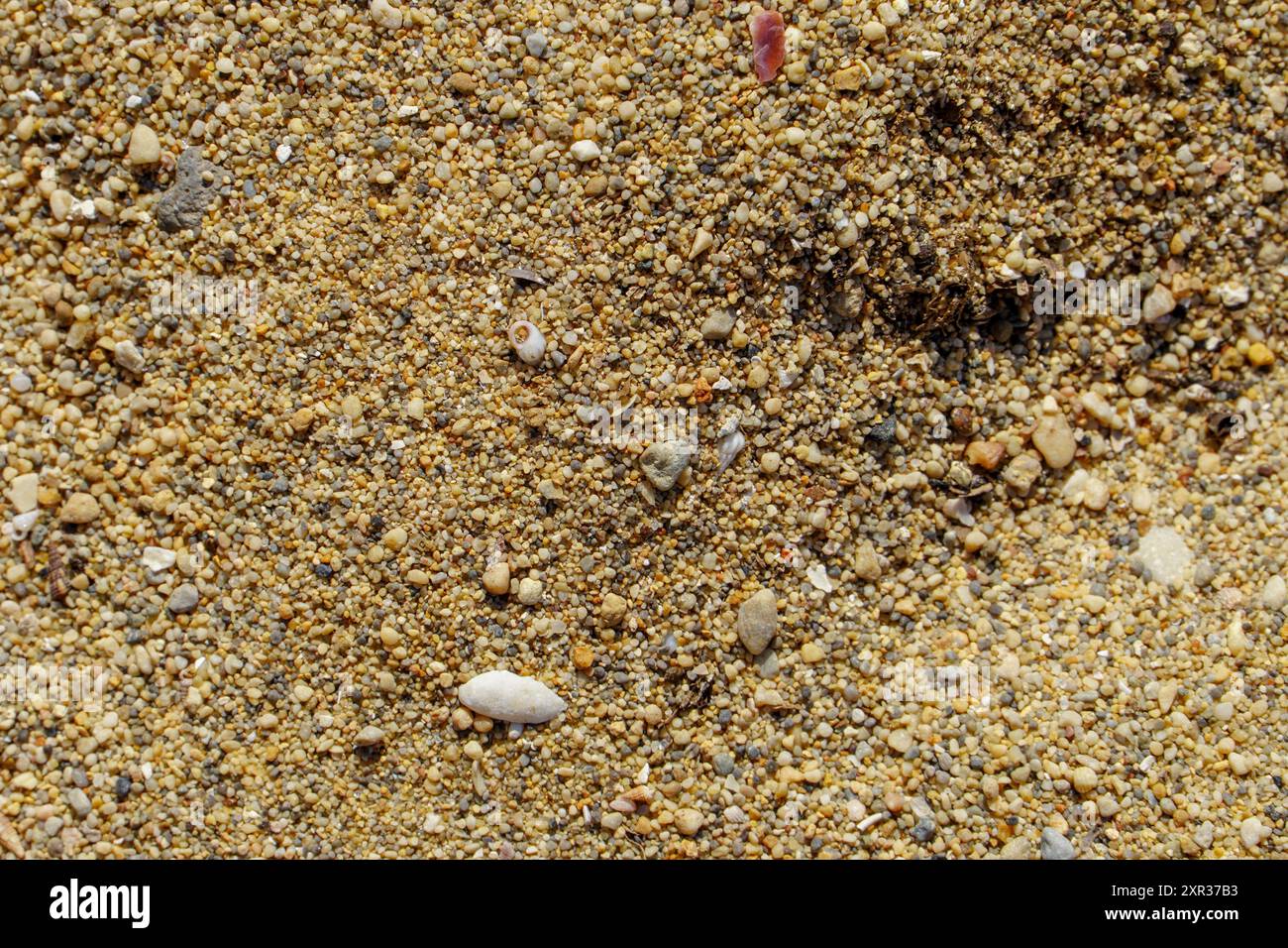 Texture of sandy beach as background, top view. Brown beach sand shot ...