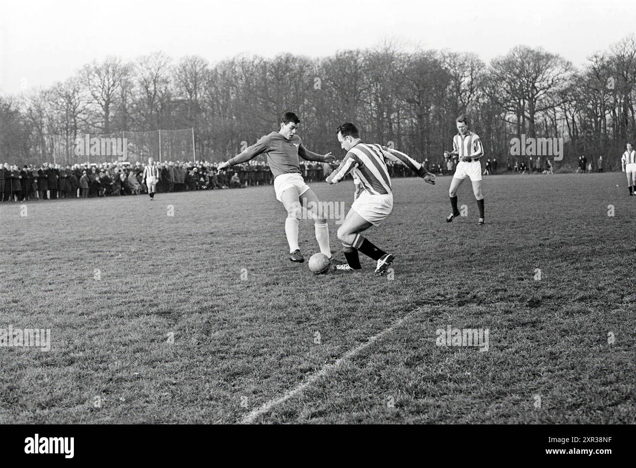 Waterloo team waterloo fulmars hi-res stock photography and images - Alamy
