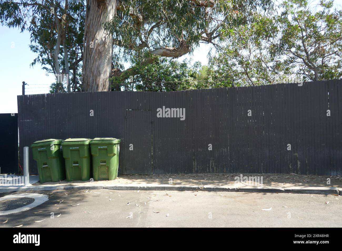 Los Angeles, California, USA 6th August 2024 9444 Director Roman ...