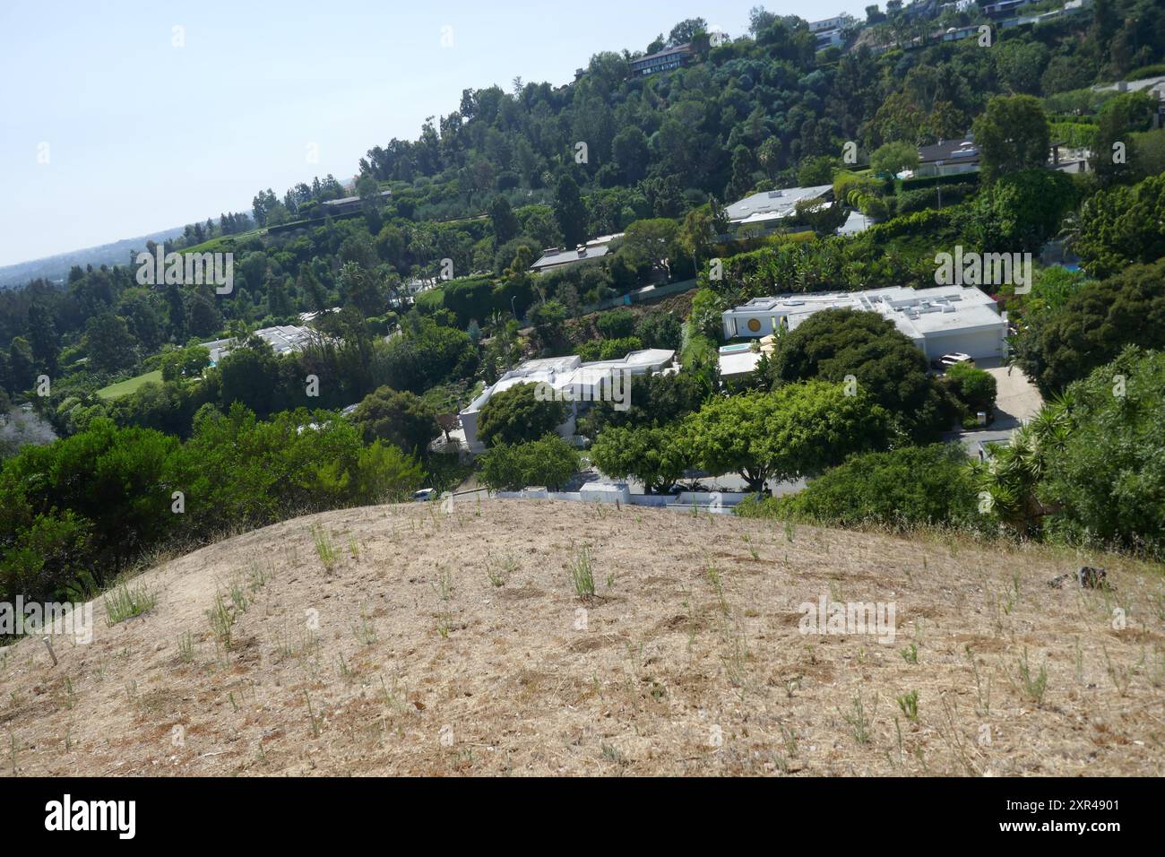 Sharon tate and roman at home hi-res stock photography and images - Alamy