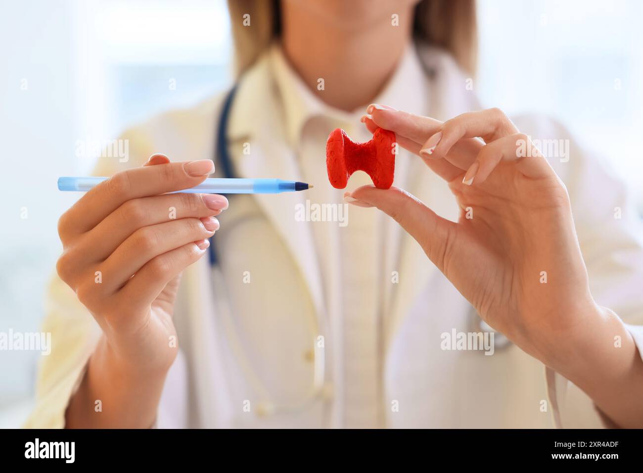 Female endocrinologist with thyroid gland model and pen in clinic ...