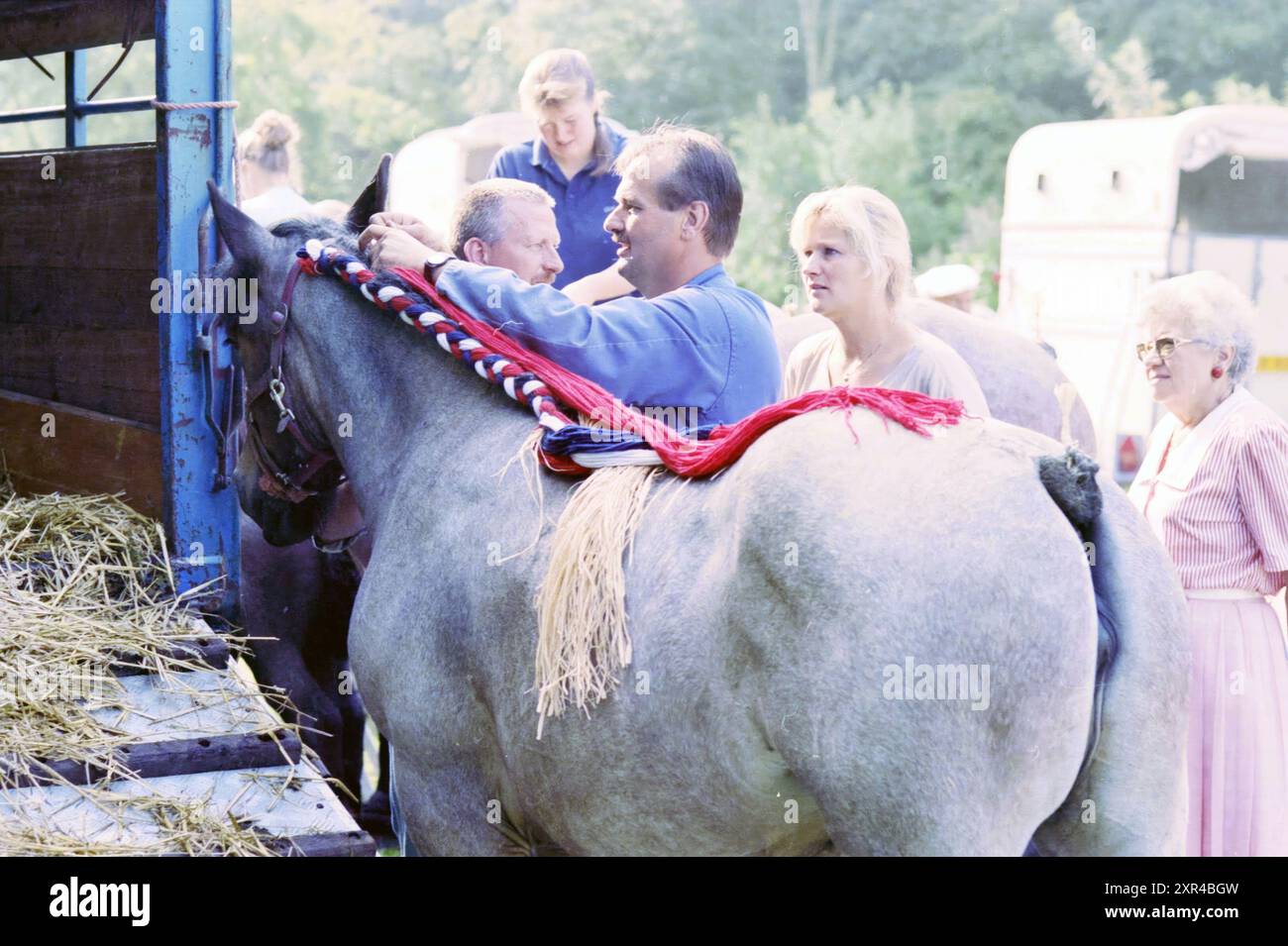 Dutch draft horses in the Haarlemmermeer forest, Hoofddorp, The ...