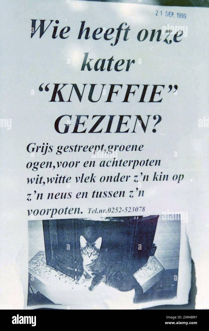 Poster missing tomcat: 'Who has seen our tomcat Knuffie?', 30-09-1999 ...