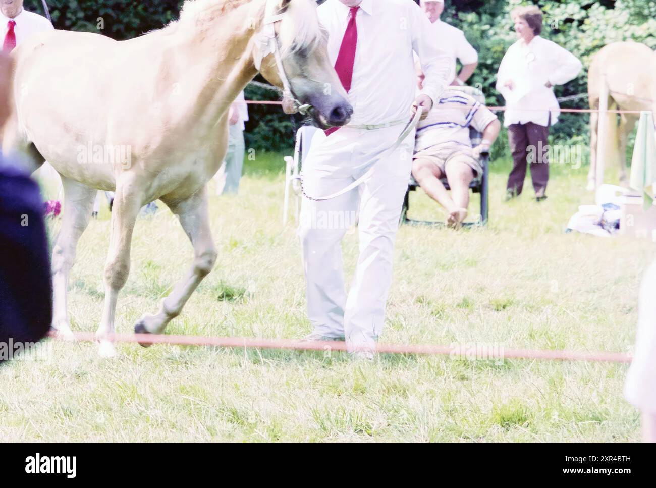Haflinger competition, Hoofddorp [horse race], Hoofddorp, The ...
