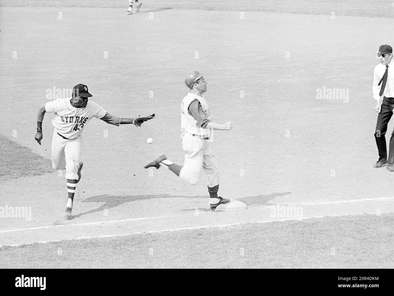Terrasvogels storks hi-res stock photography and images - Alamy