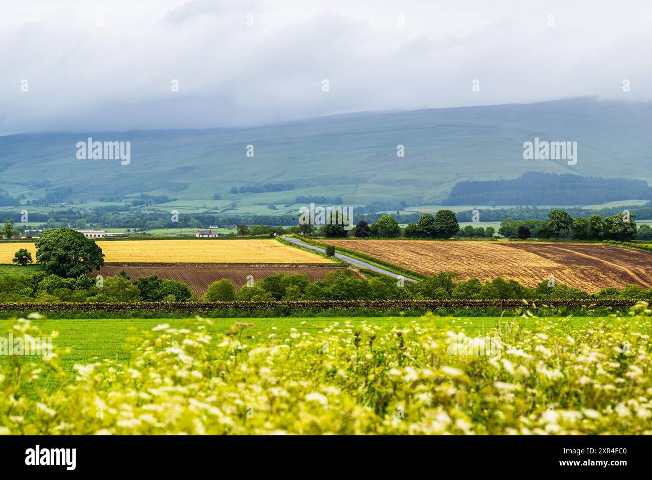 Hartside cumbria hi-res stock photography and images - Alamy